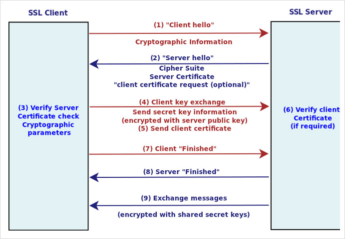 Secure Your Server Through SSL | Informatics Article